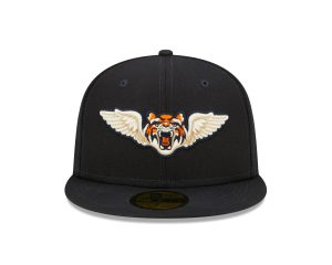 Lakeland Flying Tigers - Mickey's Place