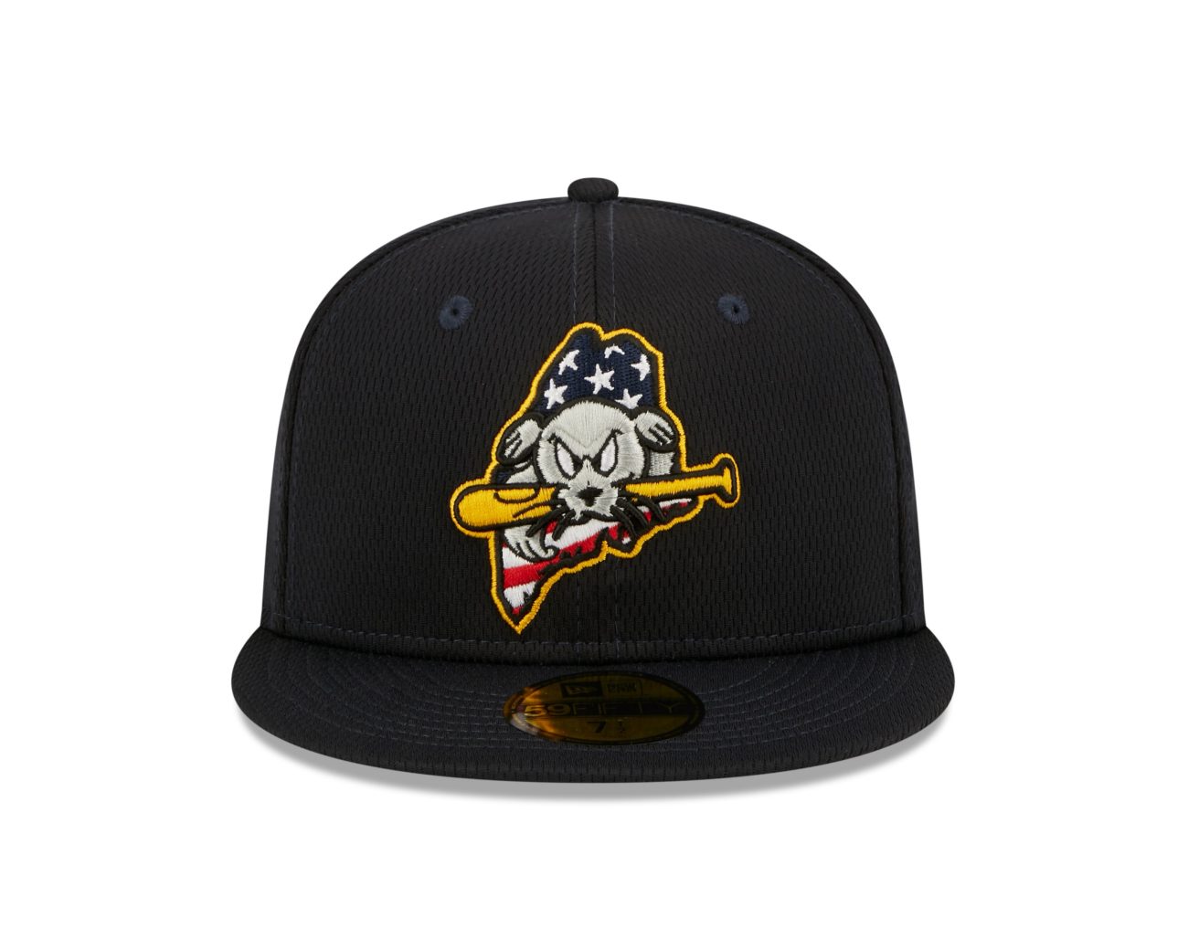 Portland Sea Dogs Batting Practice - Mickey's Place