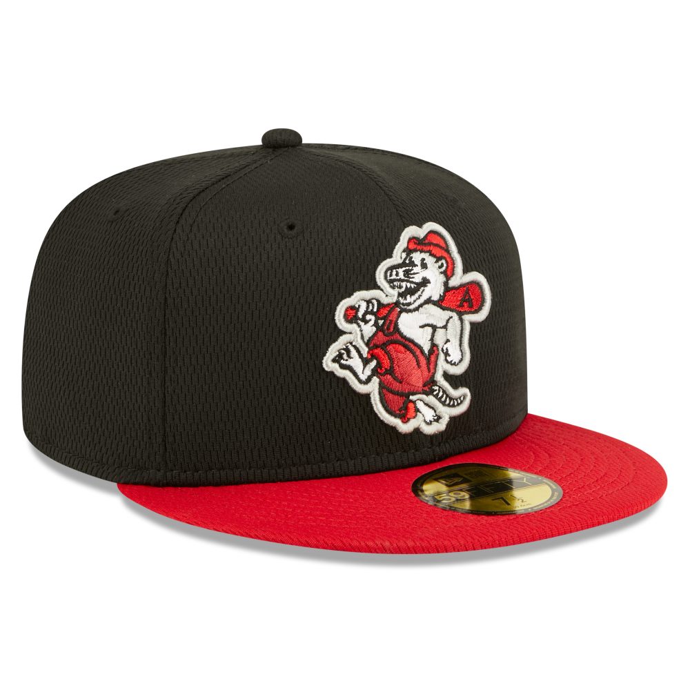 Minor League Hats - Mickey's Place